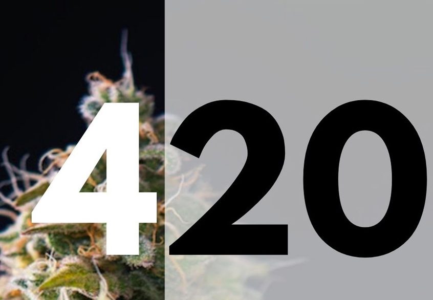 420, un número con significado - Bendita Flor