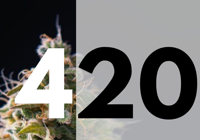 420, un número con significado - Bendita Flor